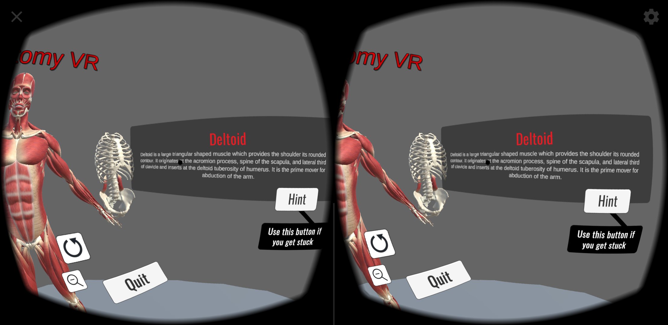 Anatomy VR APK for Android Download
