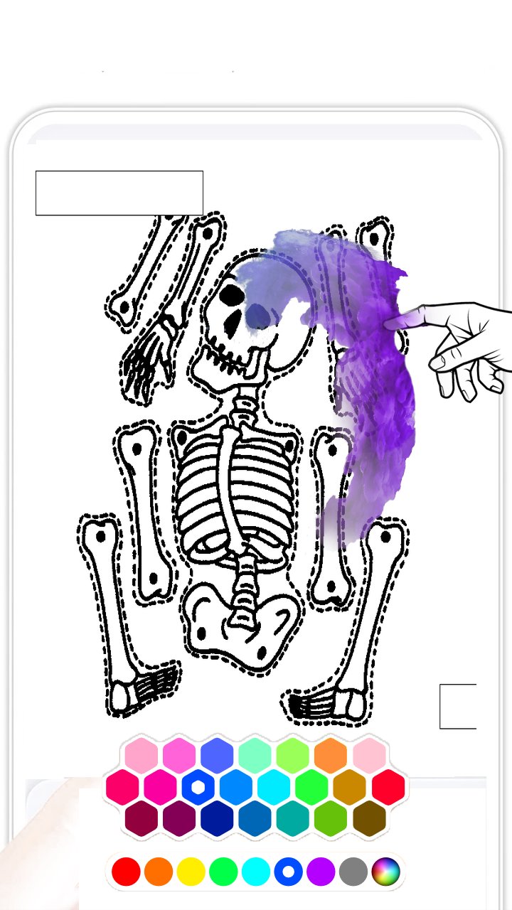 Skeleton Anatomy Coloring Book APK for Android Download