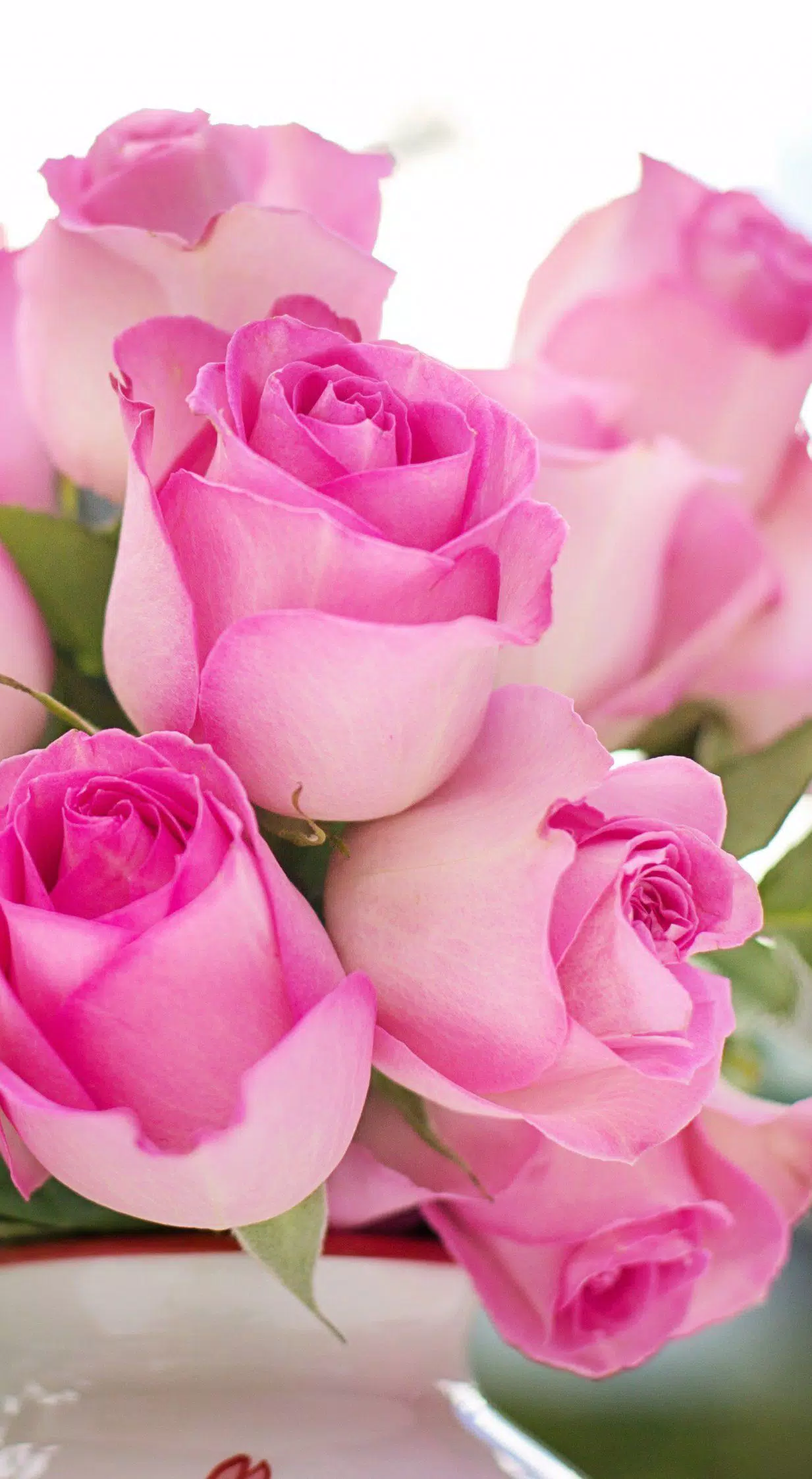 Animated Pink Roses
