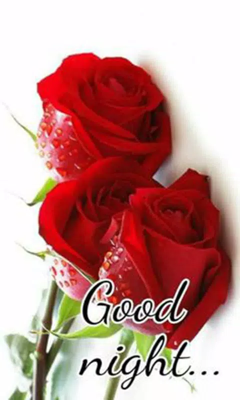 Good Night Images With Roses