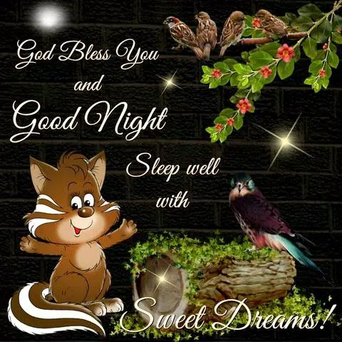 Animated Good Night Pictures