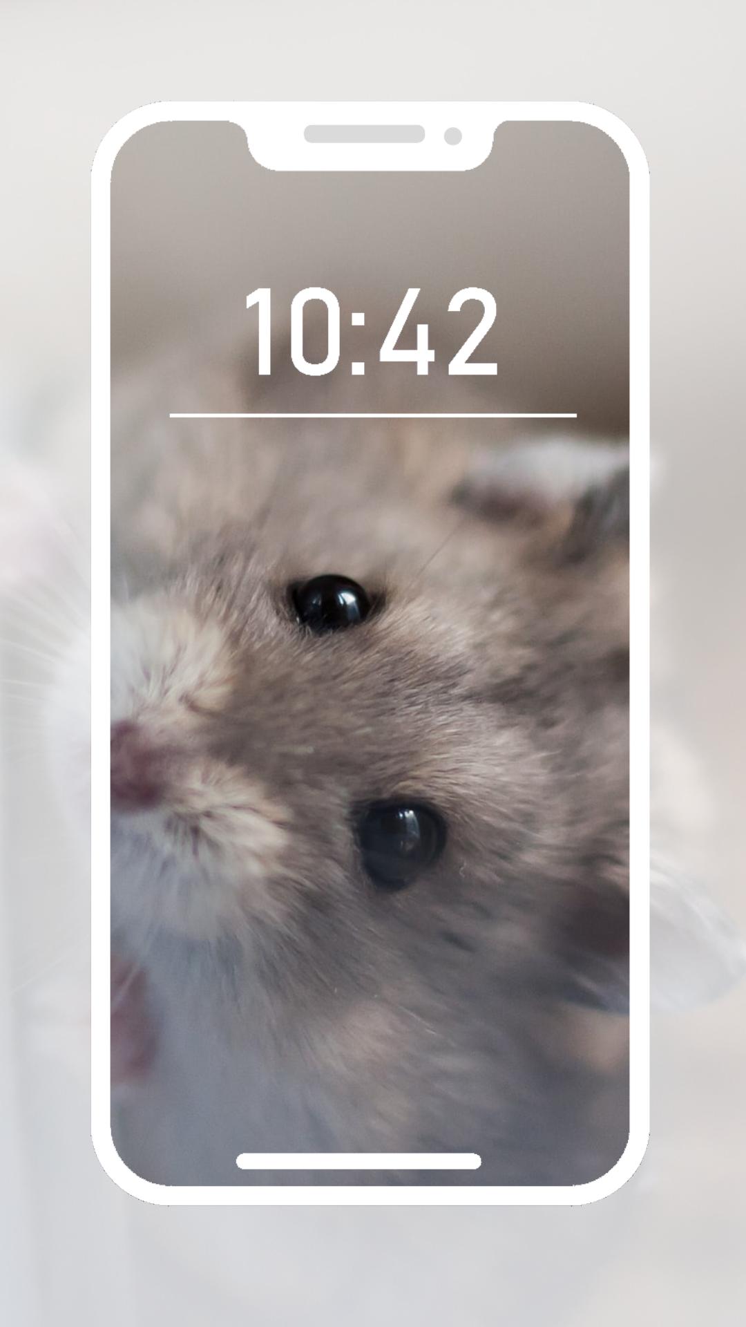 Hamster Wallpapers APK Do Pobrania Na Androida hamster-wallpapers-apk-do-pobrania-na-androida