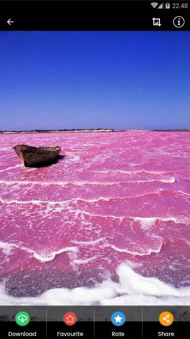 Lake Retba Wallpaper