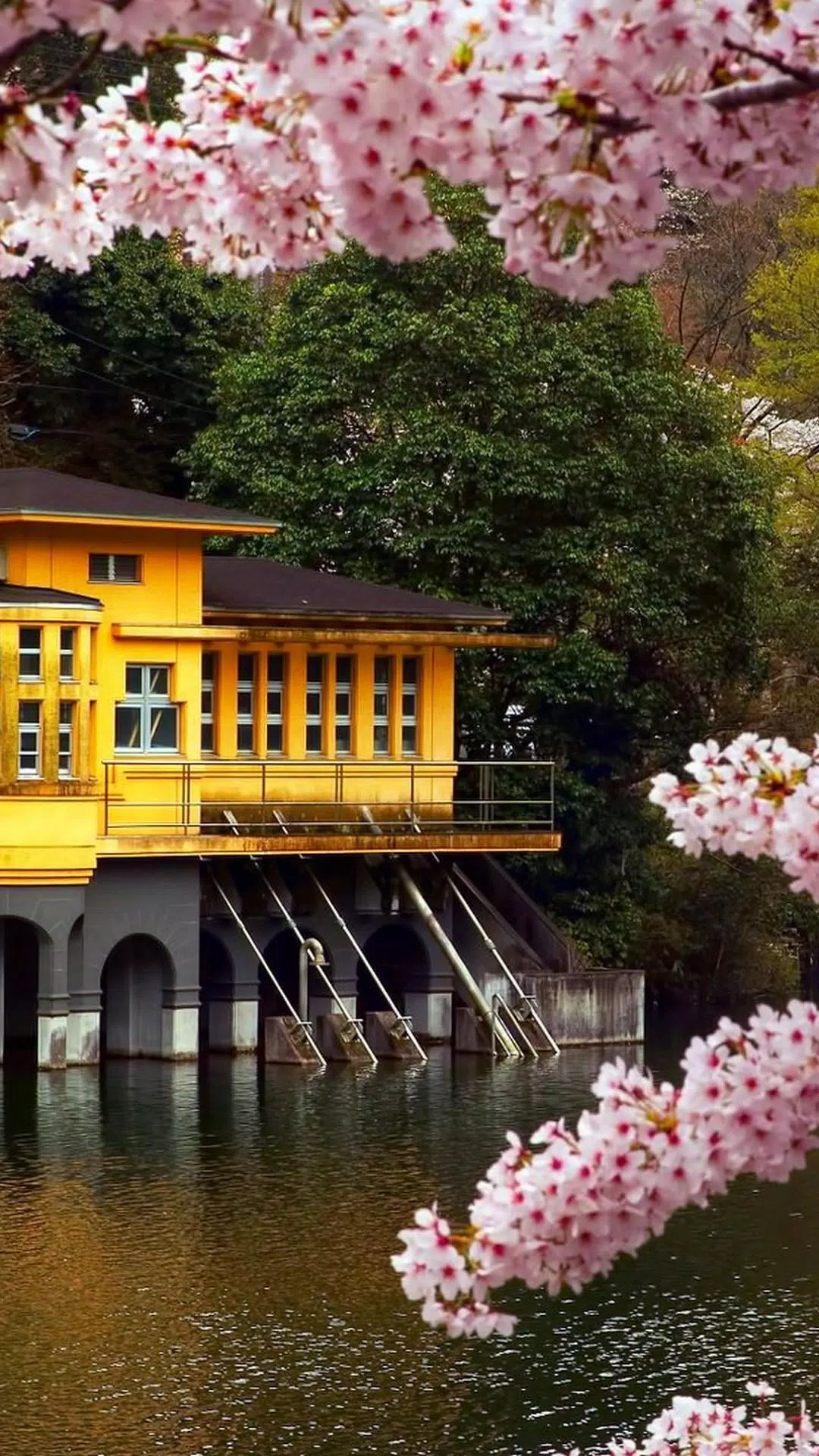 Spring Season Wallpaper