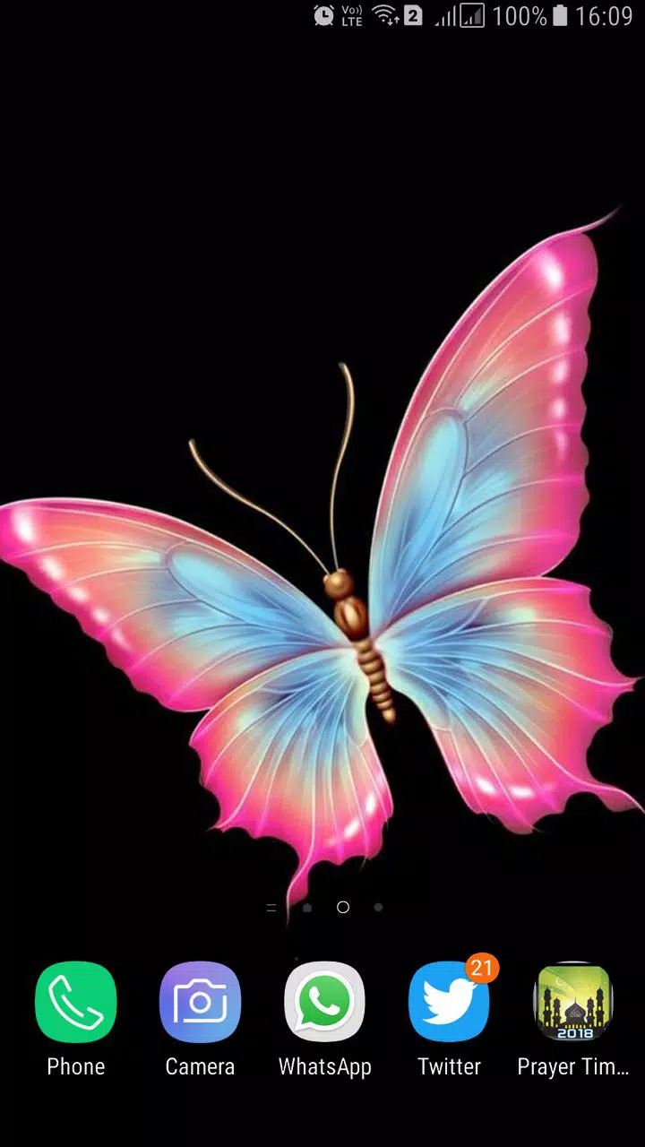 Butterfly Wallpaper For Mobile Phone Hd