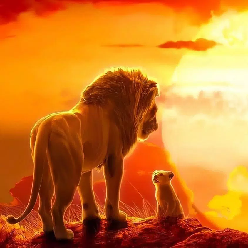 Lion King Simba Wallpaper Hd