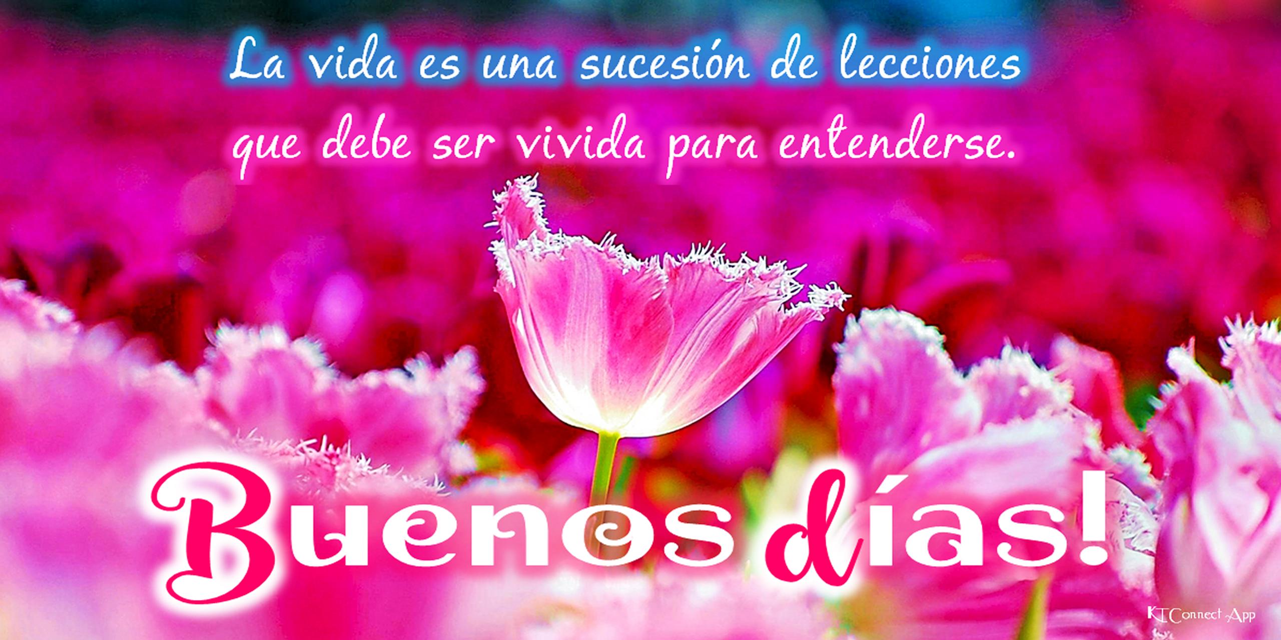 Good Morning Afternoon And Night In Spanish For Android APK Download good-morning-afternoon-and-night-in-spanish-for-android-apk-download
