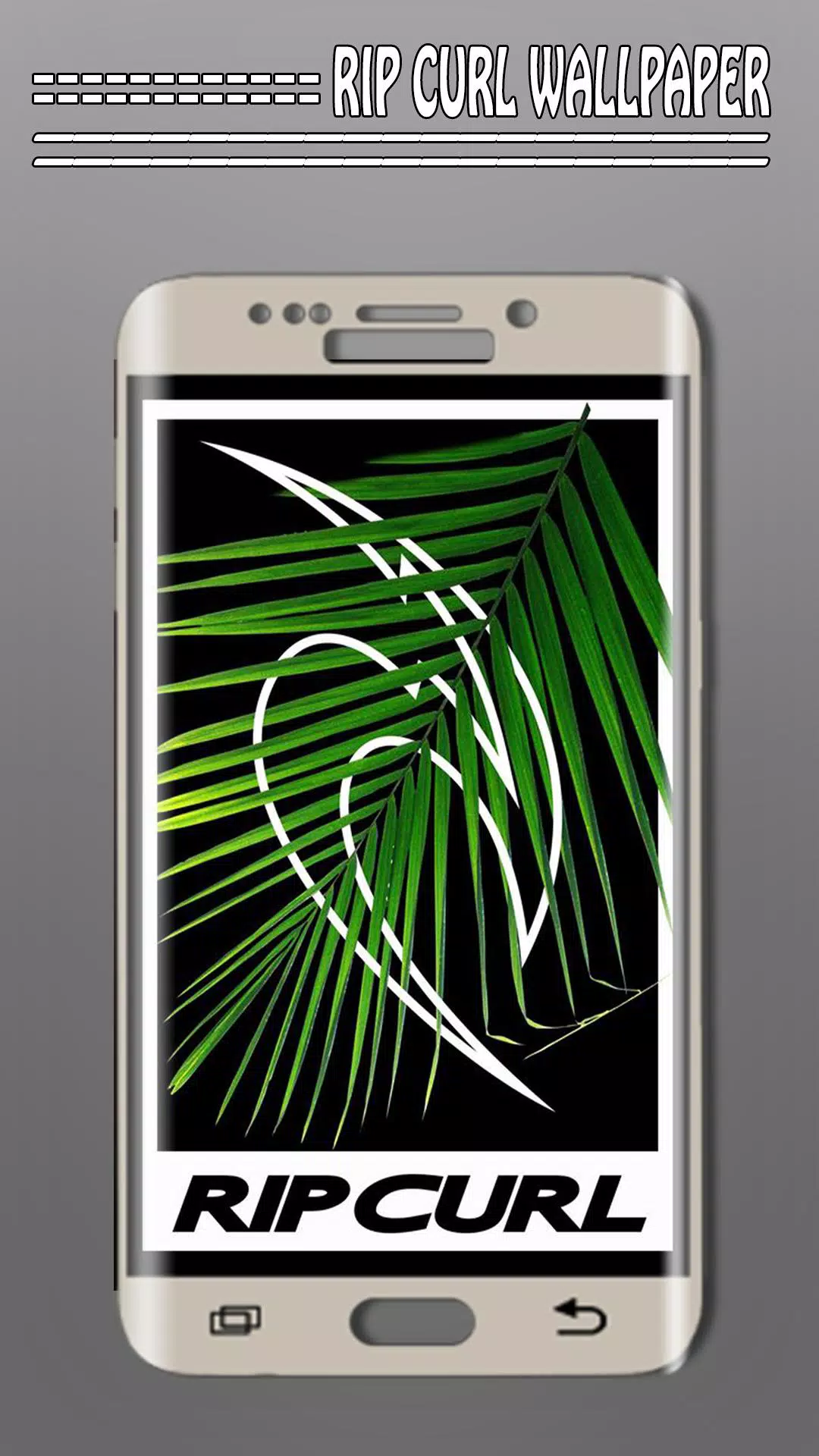 Rip Curl Iphone Wallpaper