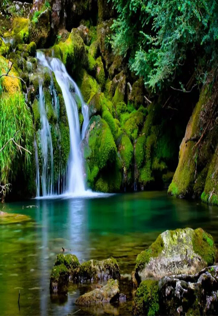 Amazing Hd Wallpapers