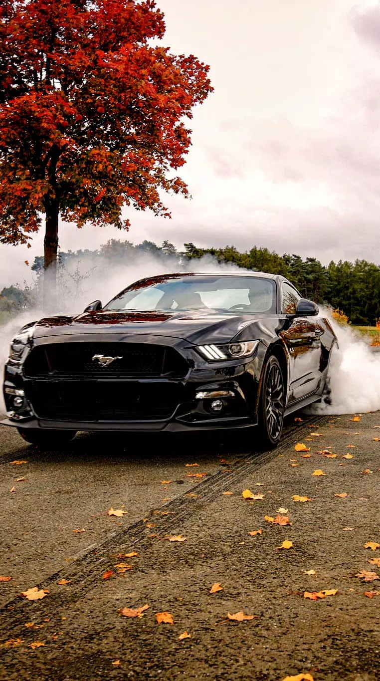 Ford Mustang Wallpapers