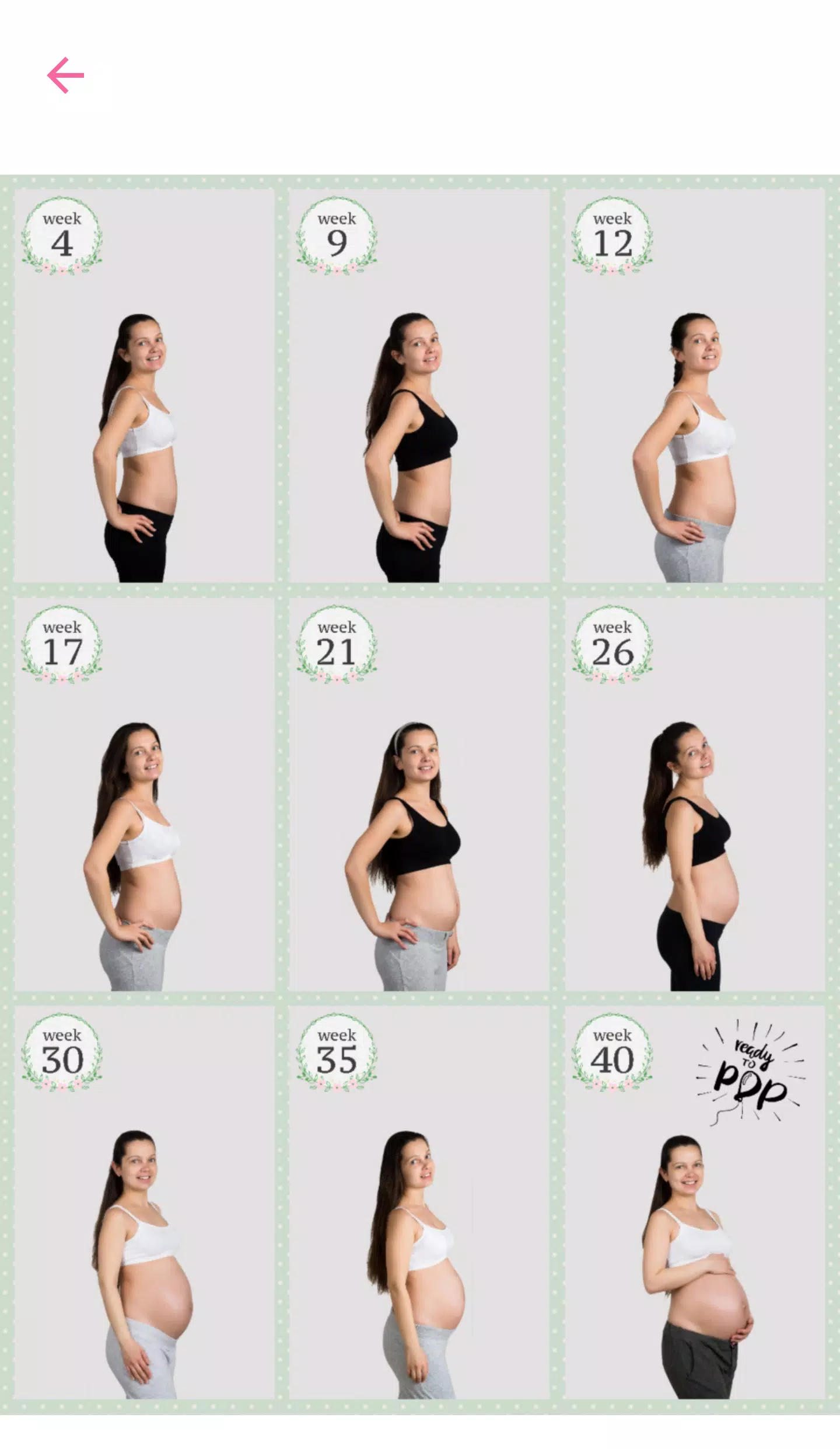 Pregnant Belly Progression