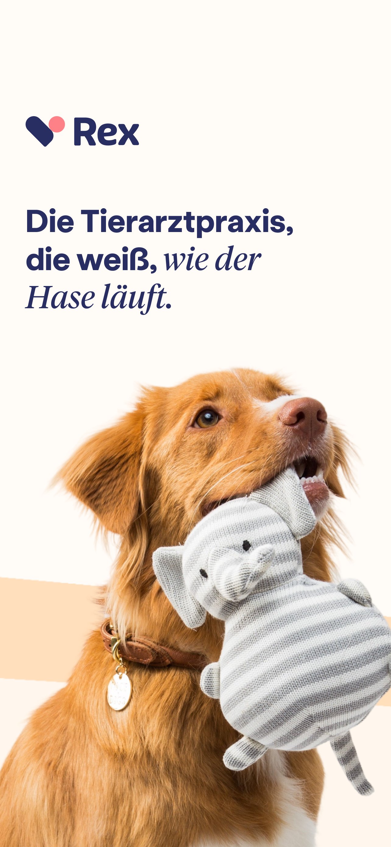 Rex Veterinary Clinic APK for Android Download