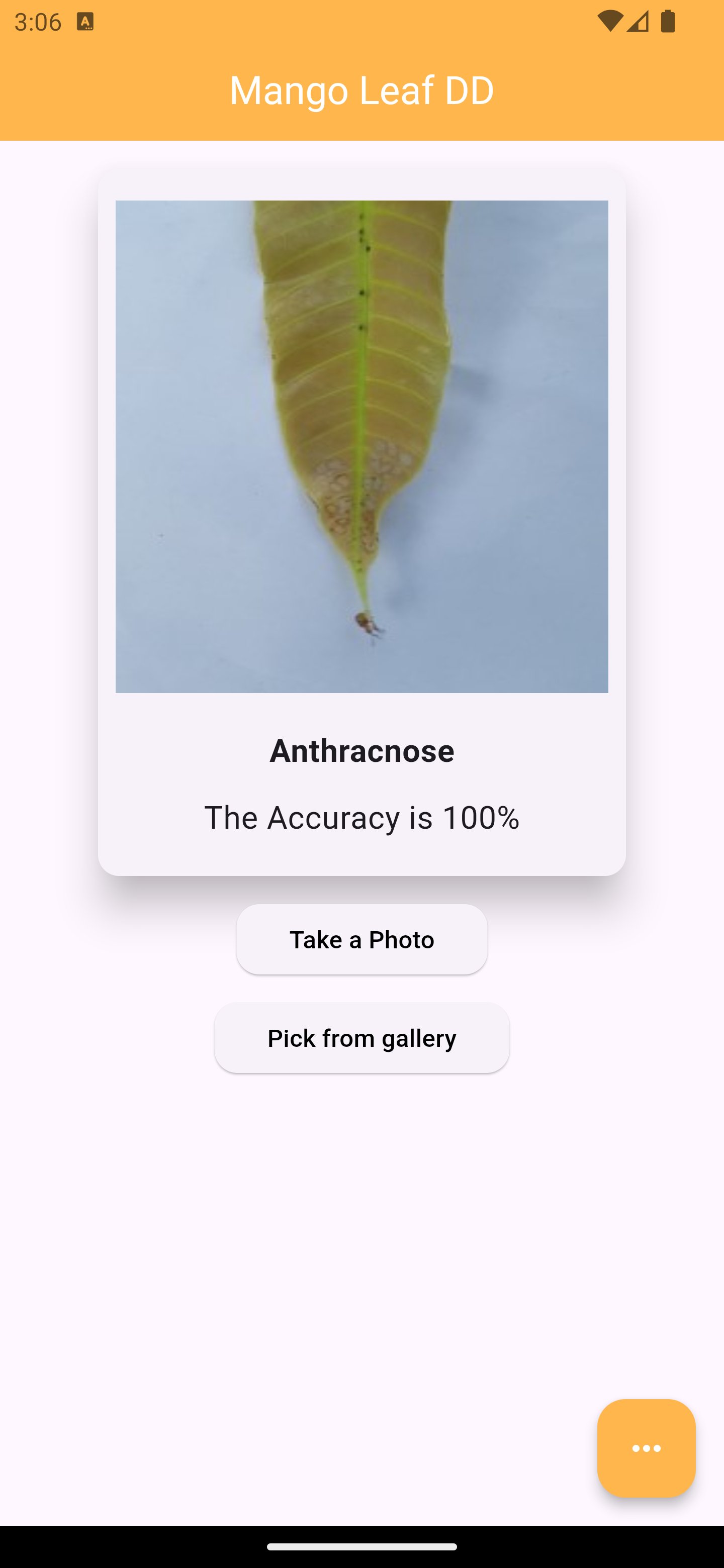 Mango APK for Android Download
