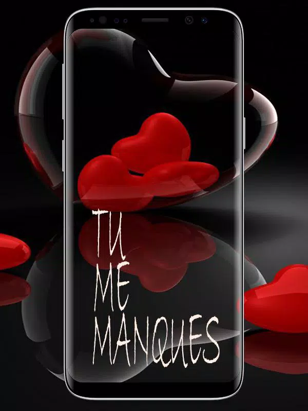 Tu Me Manques