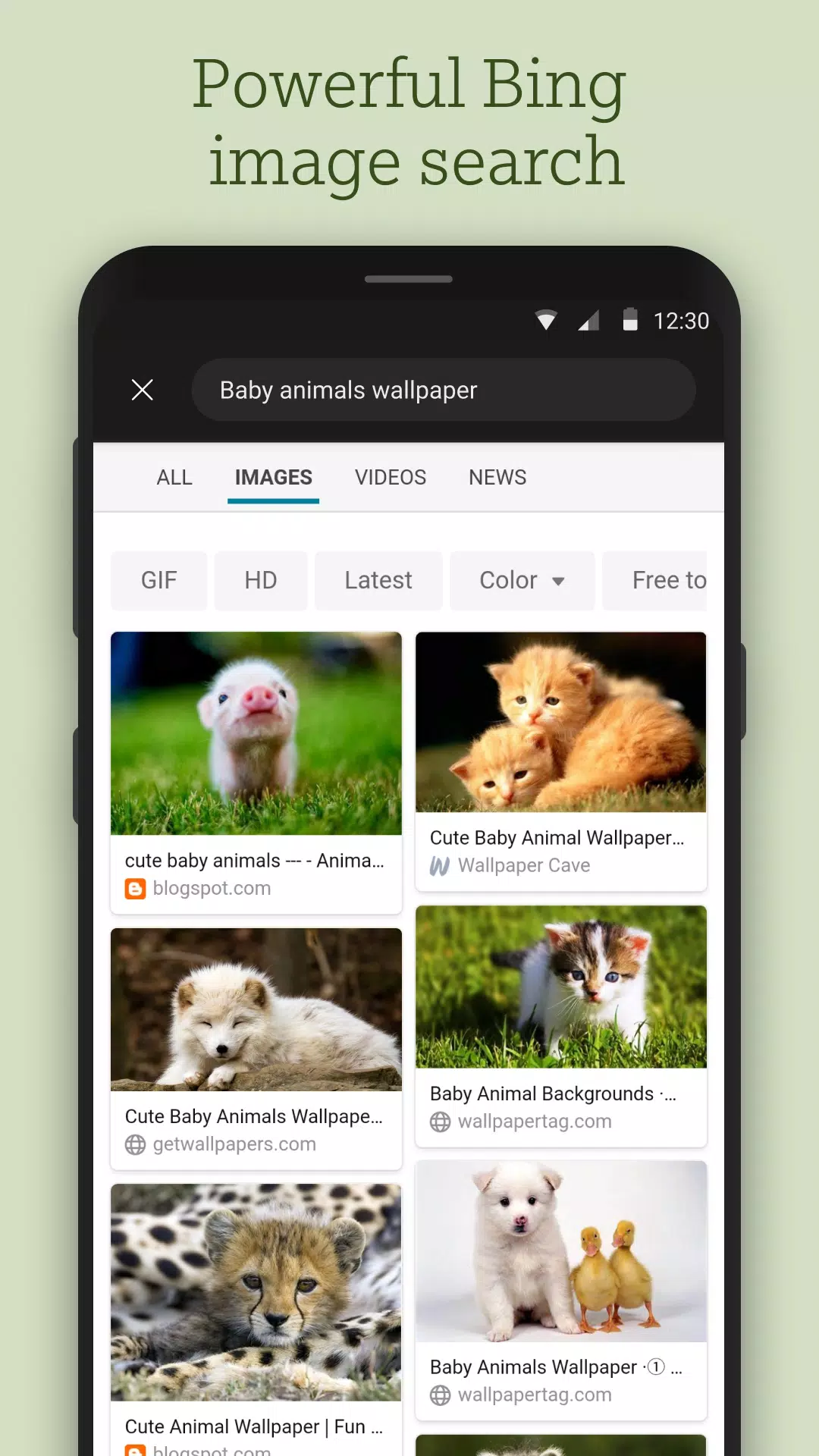 Dog Bing Wallpaper Gallery
