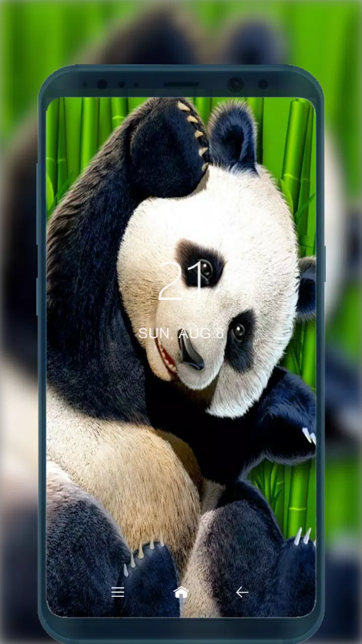 Cute Panda Wallpaper For Android