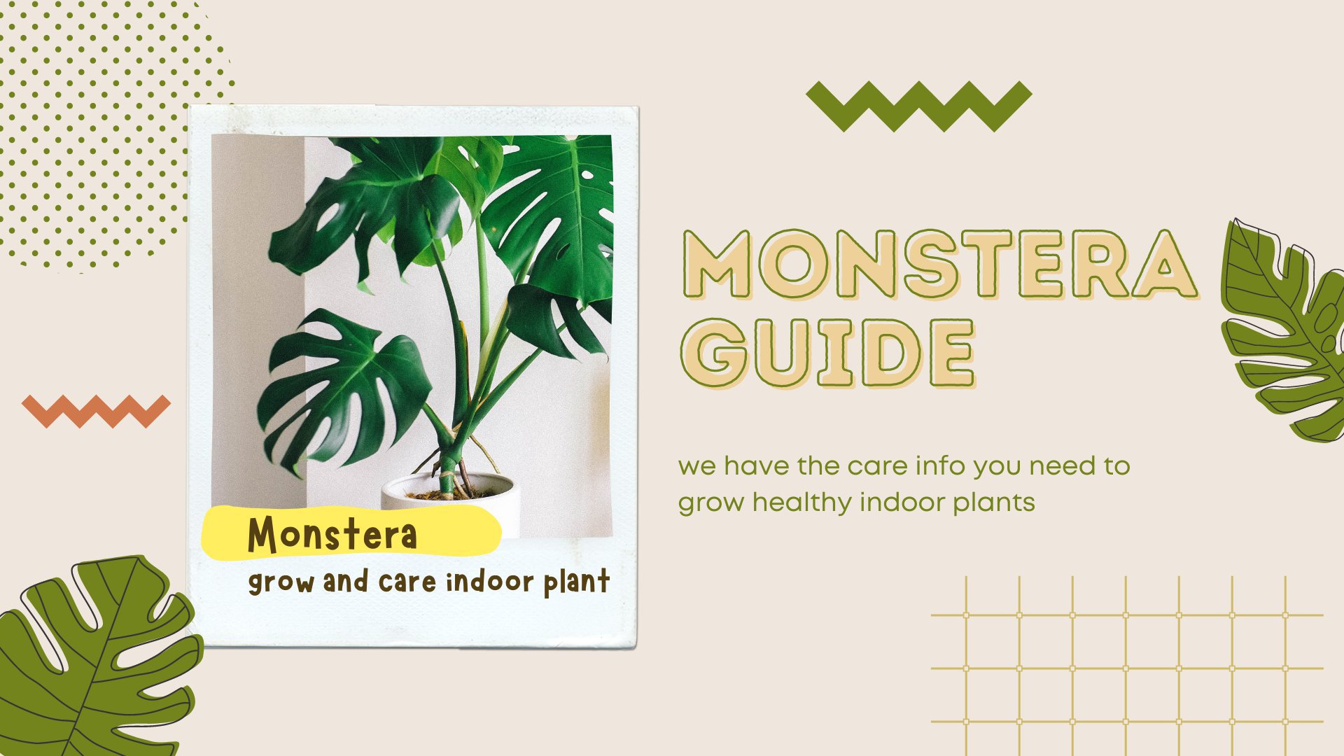 Monstera Plant Care Guide APK for Android Download