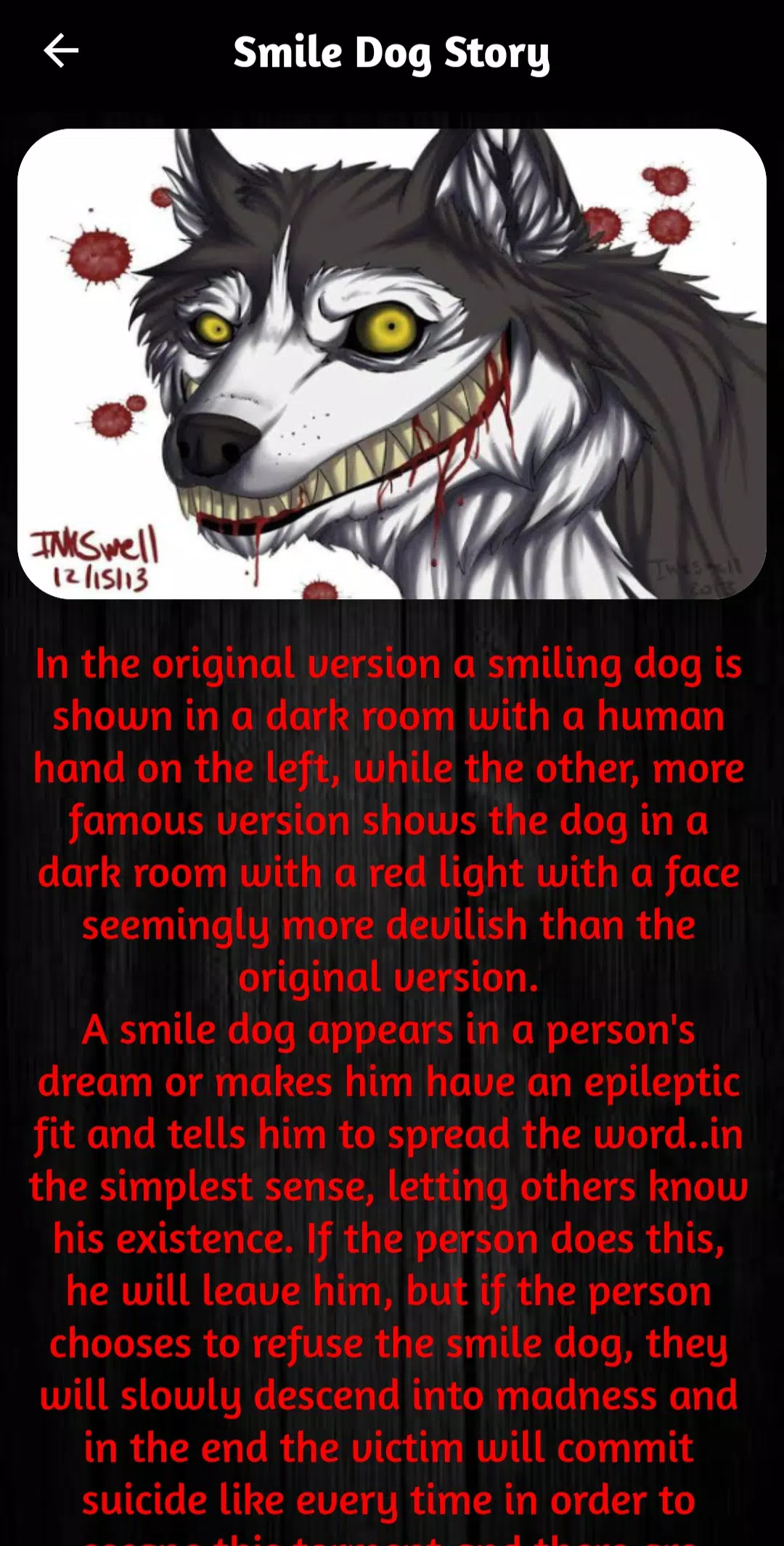 Smile Dog Real Story