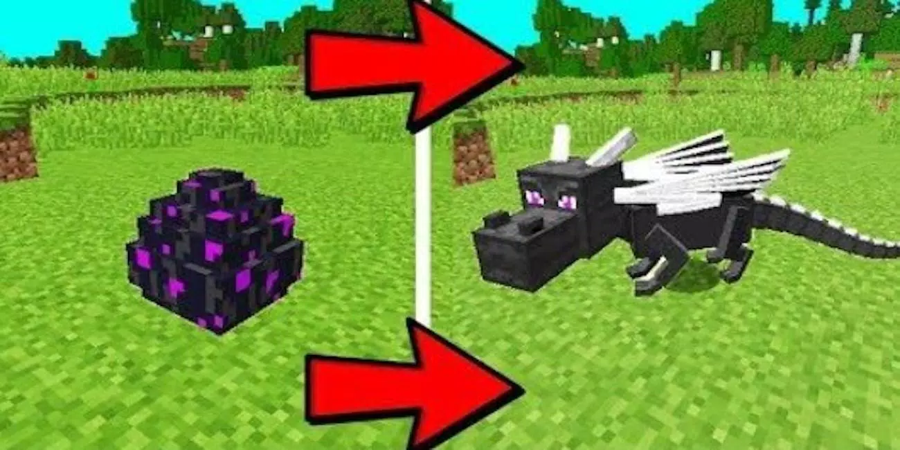 Minecraft Dragon Egg Hatch