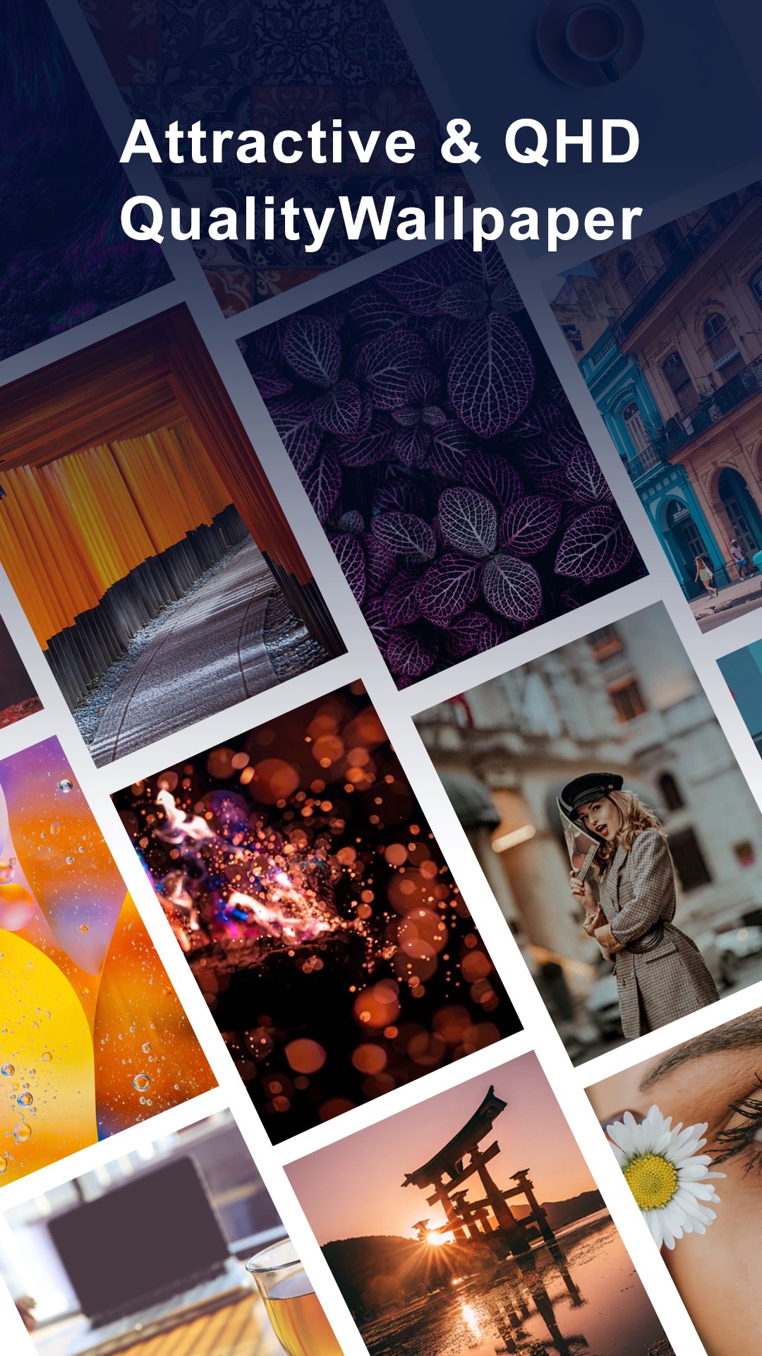 Moonlight - HD Wallpapers APK Download for Android - Latest Version