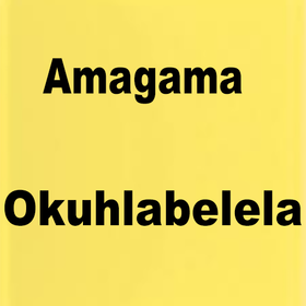 Amagama Okuhlabelela APK for Android Download
