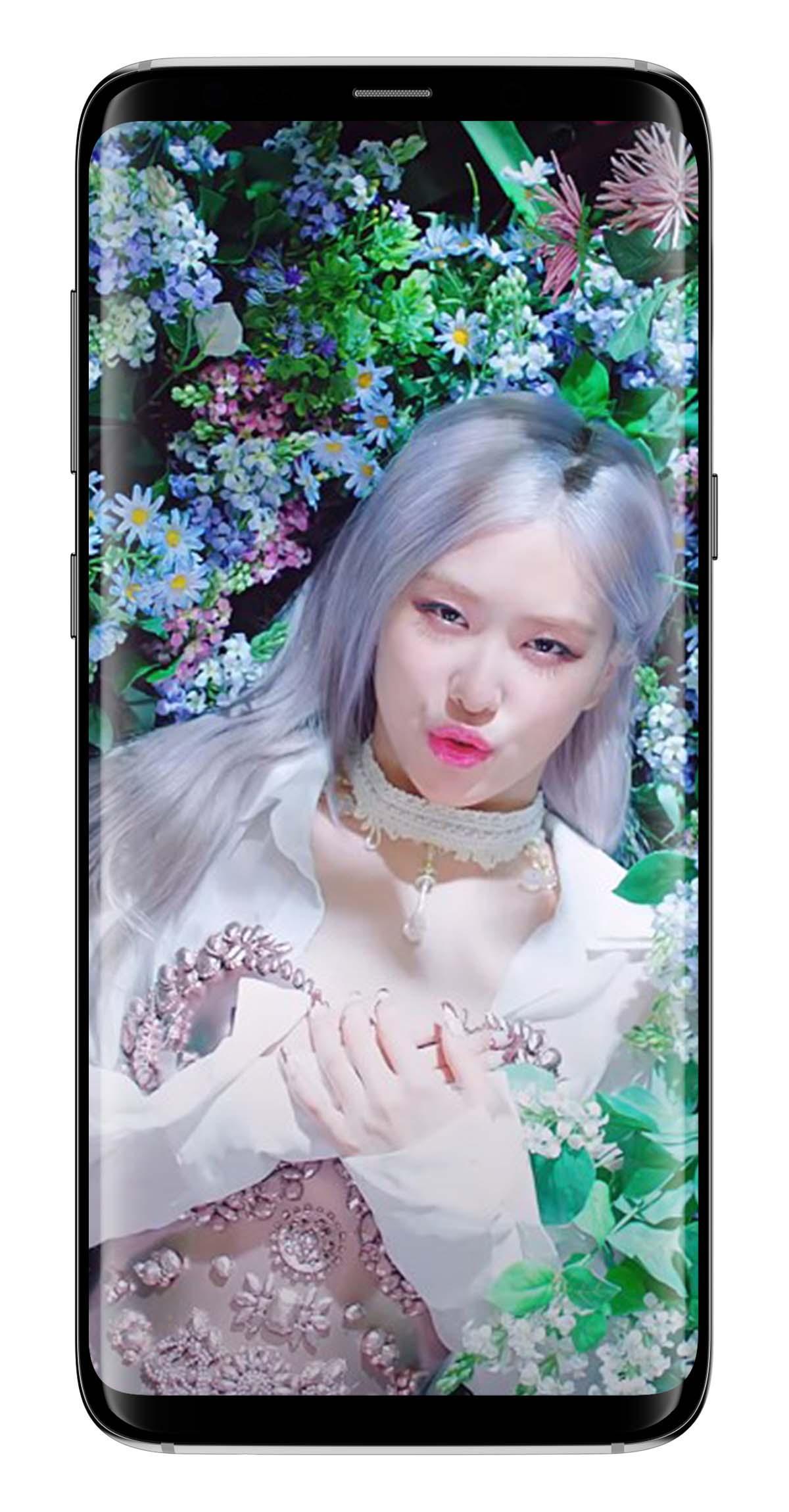 Rose Blackpink Wallpaper Apk Untuk Unduhan Android