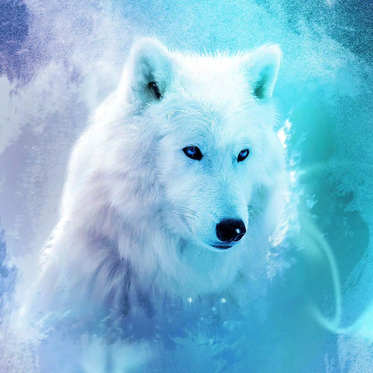 White Wolf