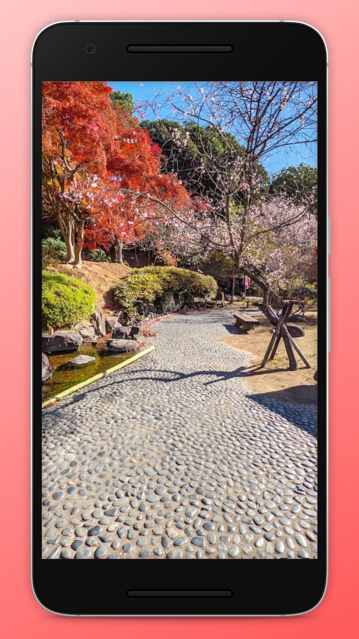 Random Street View APK for Android Download