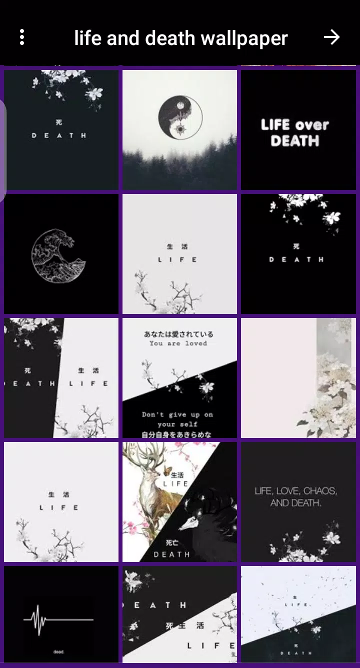 Life Vs Death Wallpaper