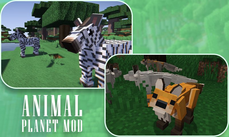 Animal Planet mod – a Lot of A APK for Android Download