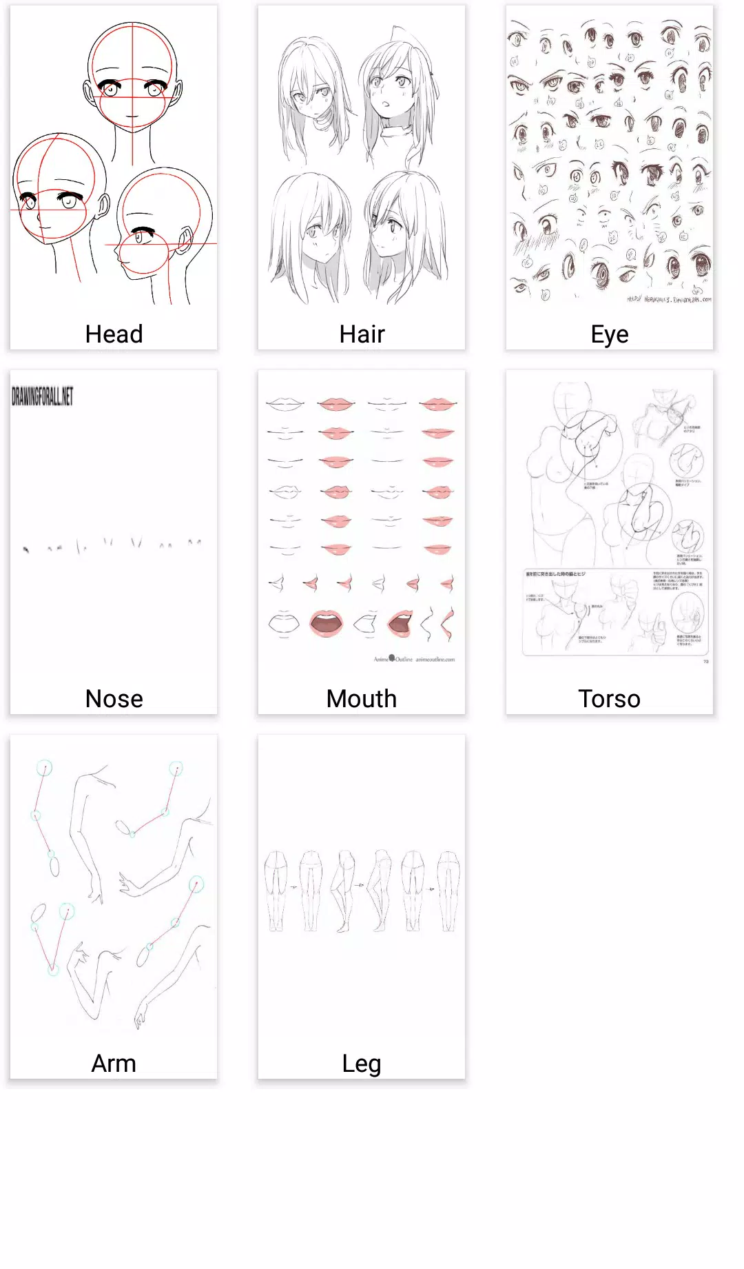 Arm Reference Anime