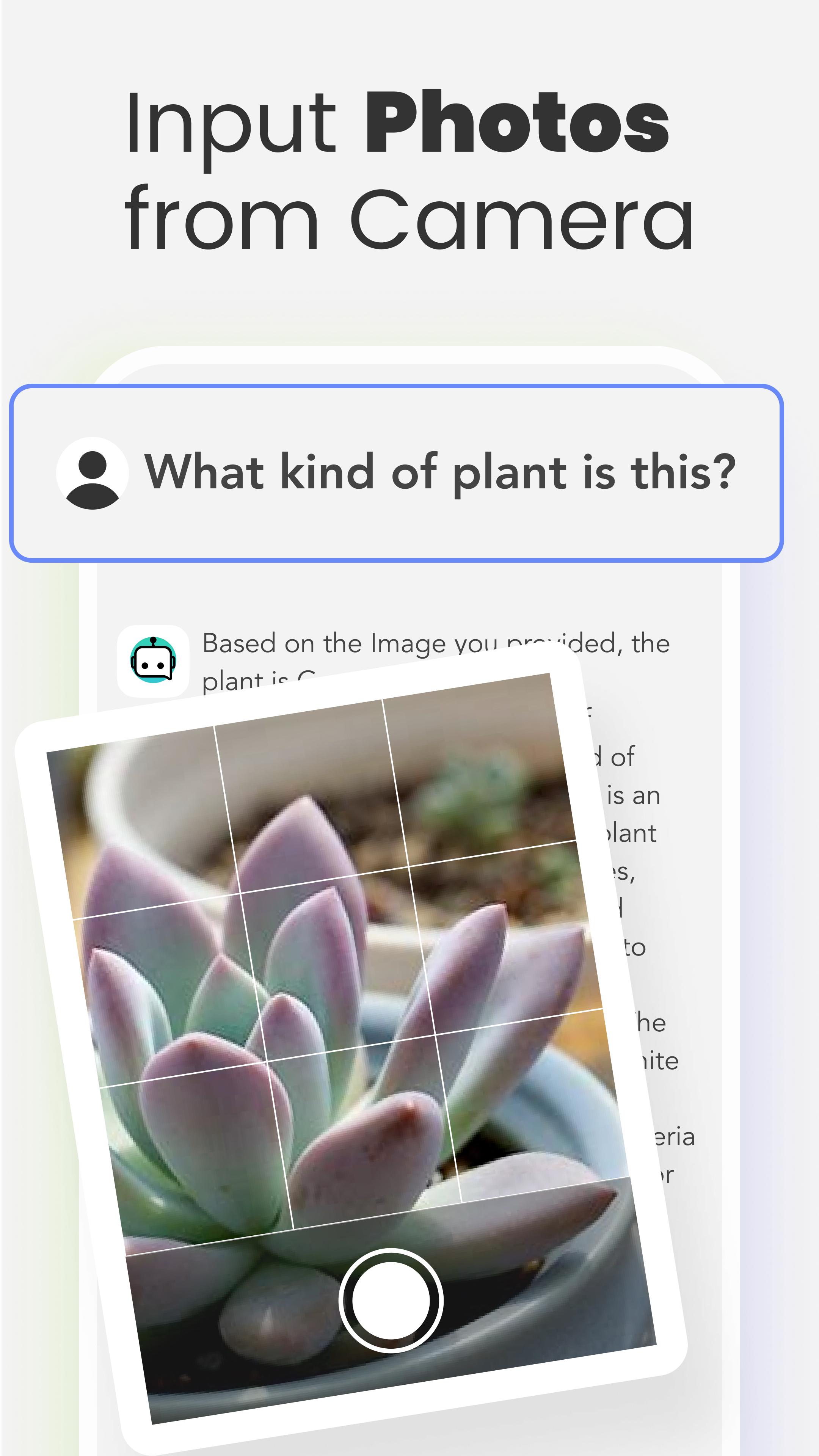 Ai Chatbot Ask Ai Anything安卓版应用apk下载