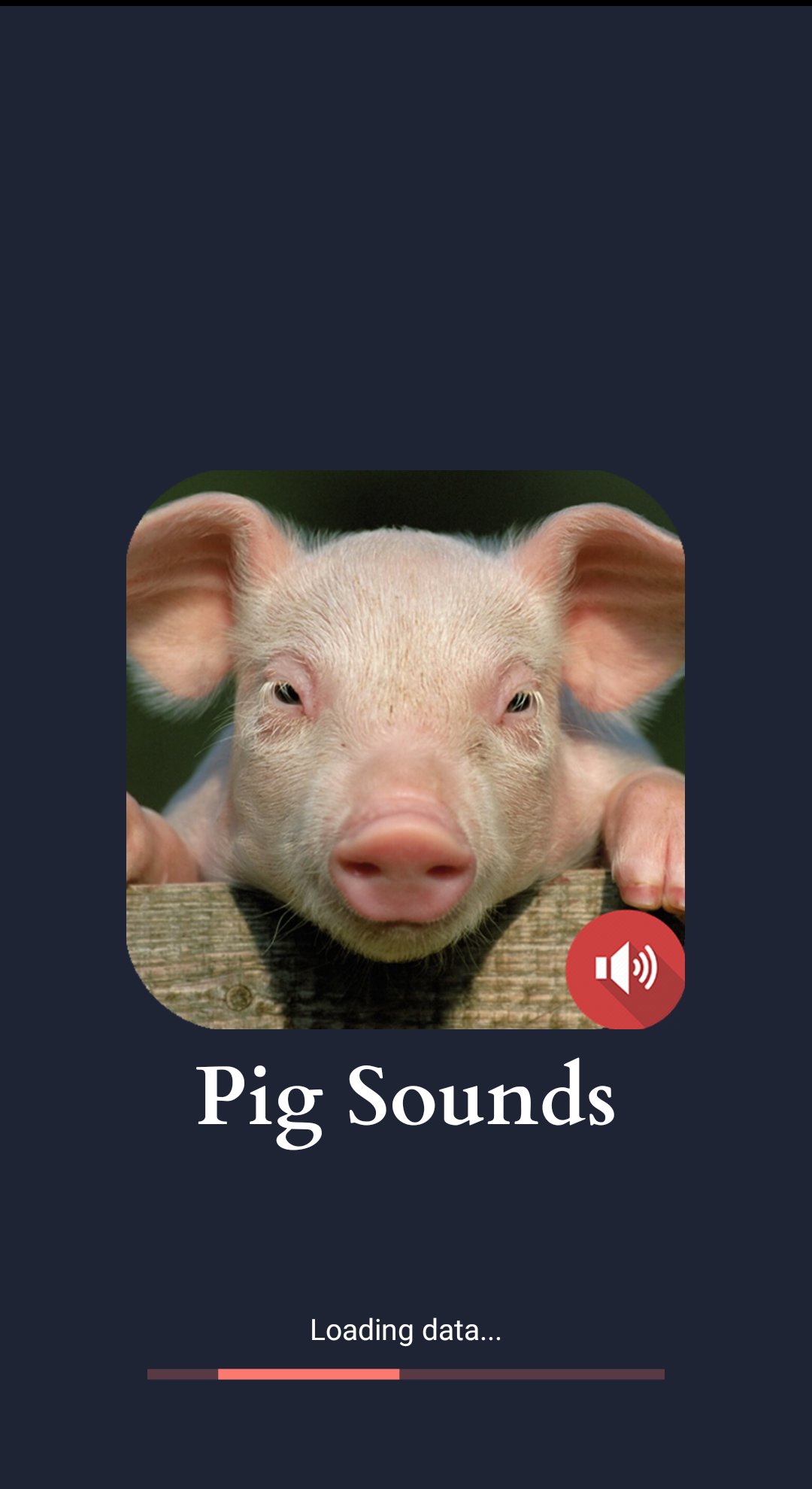 Pig Sounds APK for Android Download