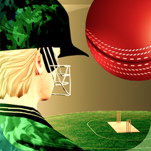 Cricket Fly APK for Android Download