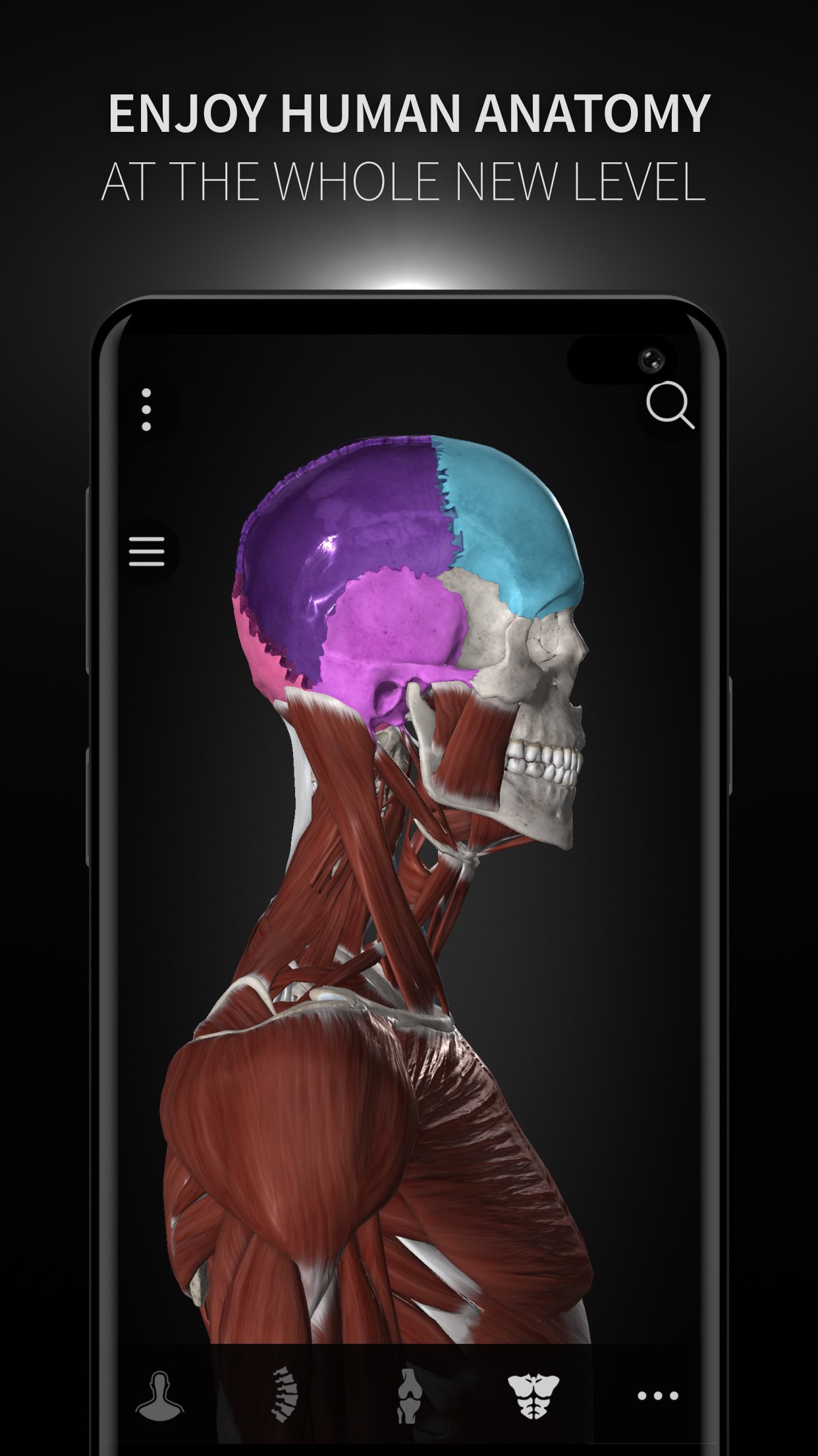 Anatomyka - 3D Anatomy Atlas for Android - APK Download