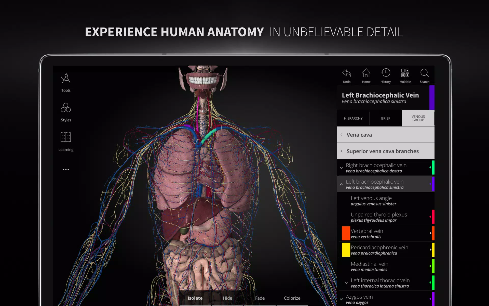 Human anatomy atlas