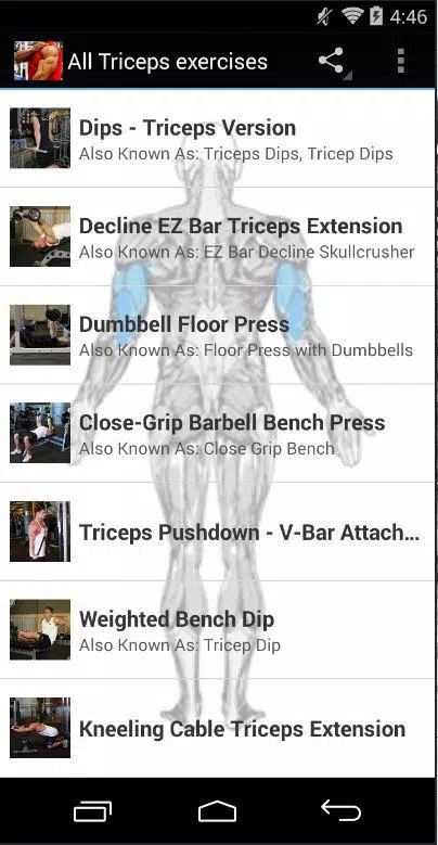 Triceps Workout Poster