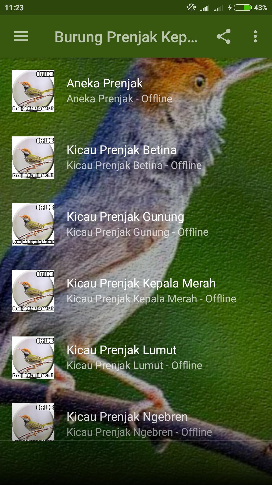 Download Suara Burung Prenjak Kepala Merah - Eminence Solutions Download Suara Burung Prenjak Kepala Merah - Eminence Solutions