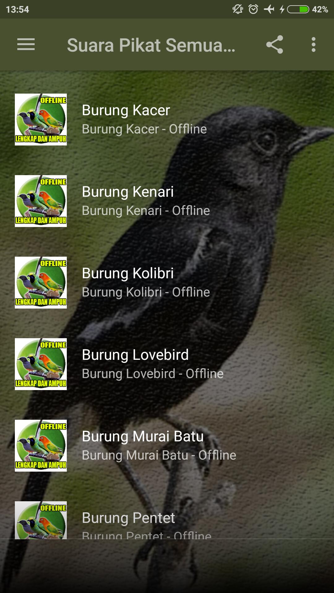Suara Pikat Segala Jenis Burung APK for Android Download Suara Pikat Segala Jenis Burung APK for Android Download