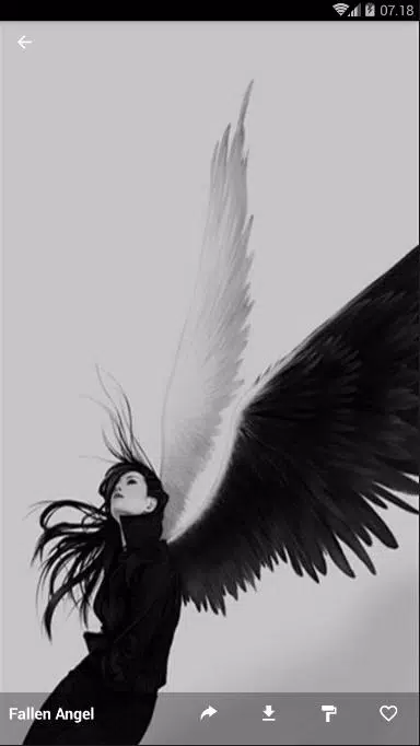 Anime Fallen Angel Wallpaper Hd