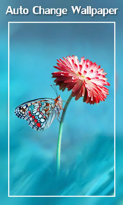 Wallpapers That Change Automatically