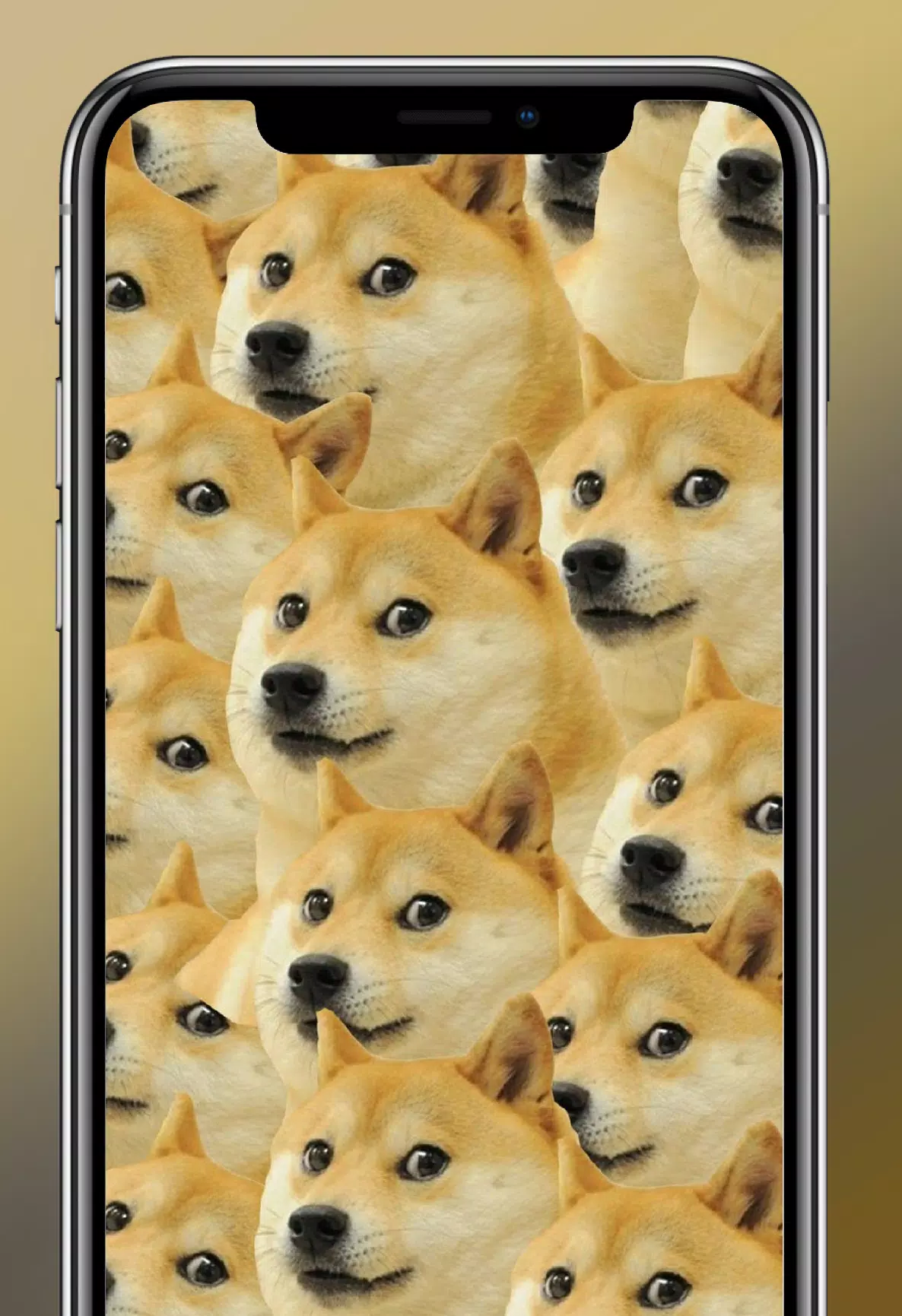 Doge Meme Iphone Wallpaper