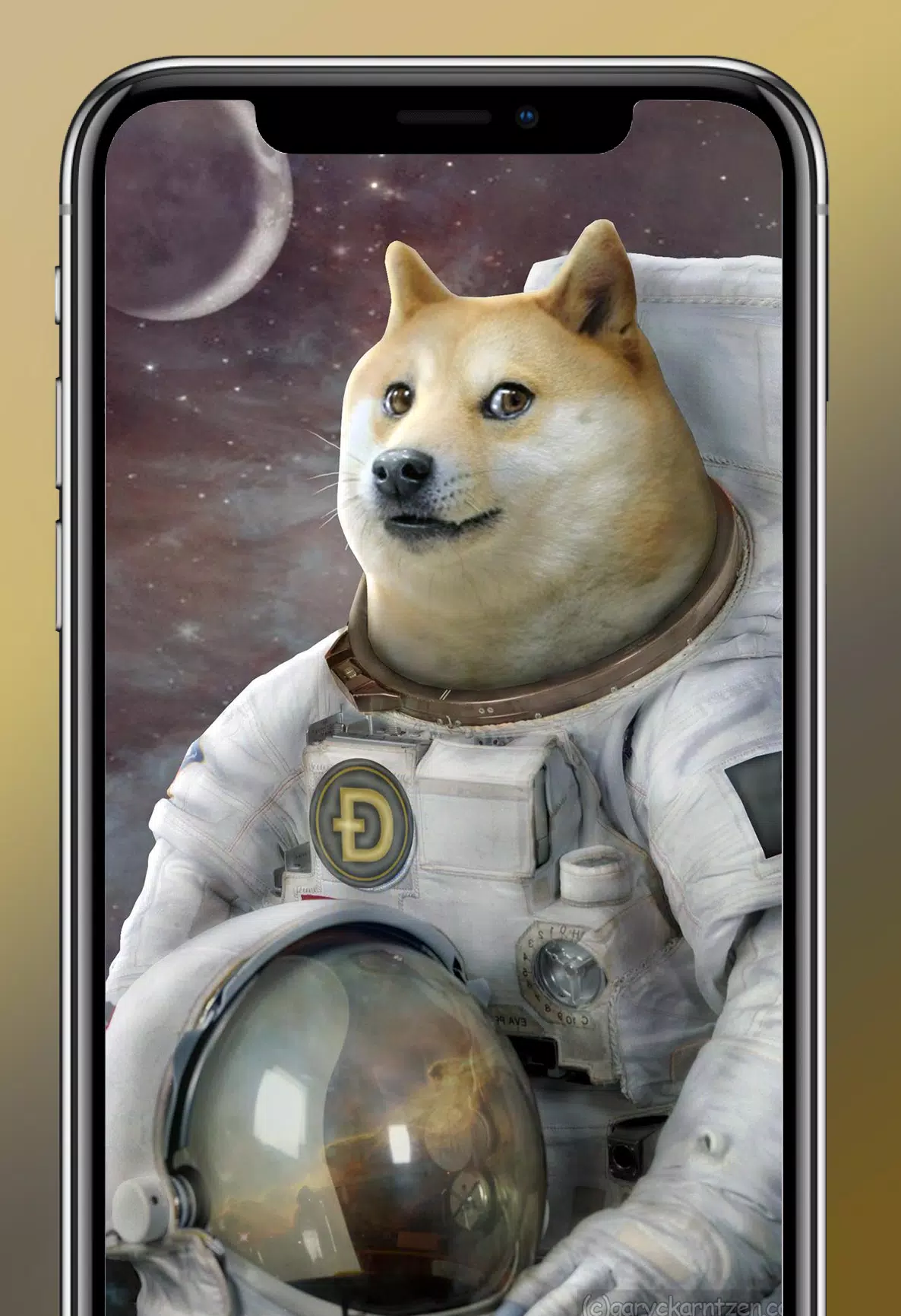 Doge Backgrounds