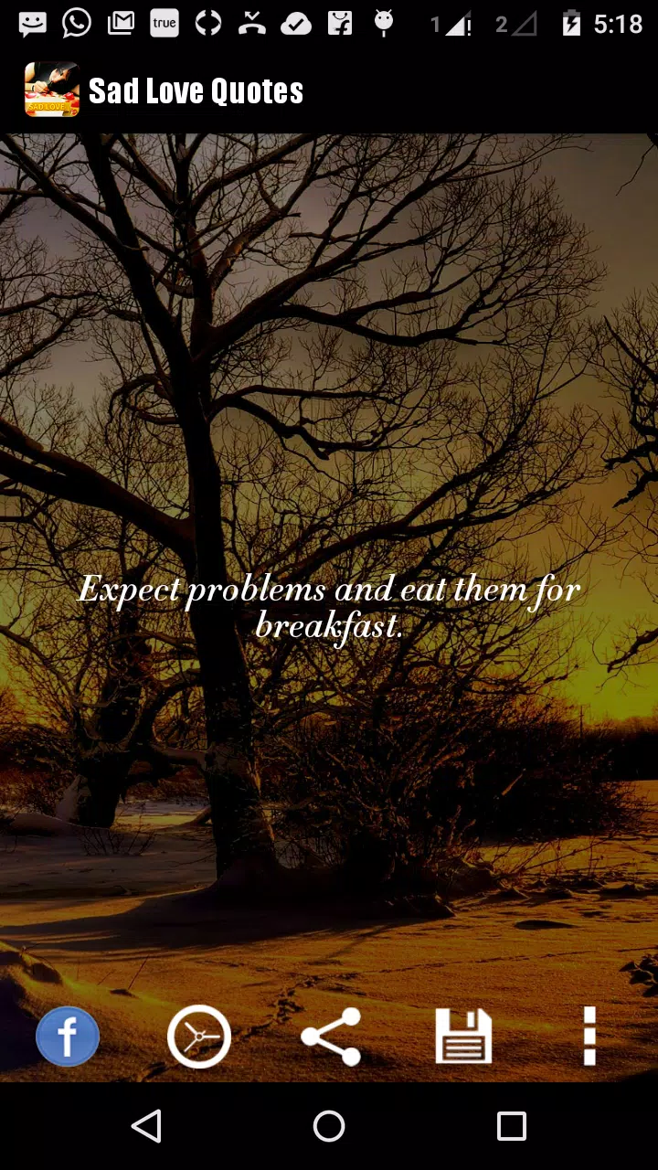 Sad Images Of Love With Quotes In English