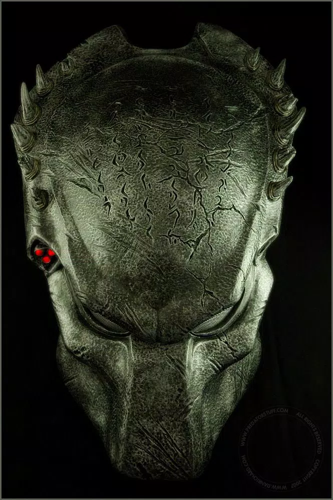 Wolf Predator Wallpaper