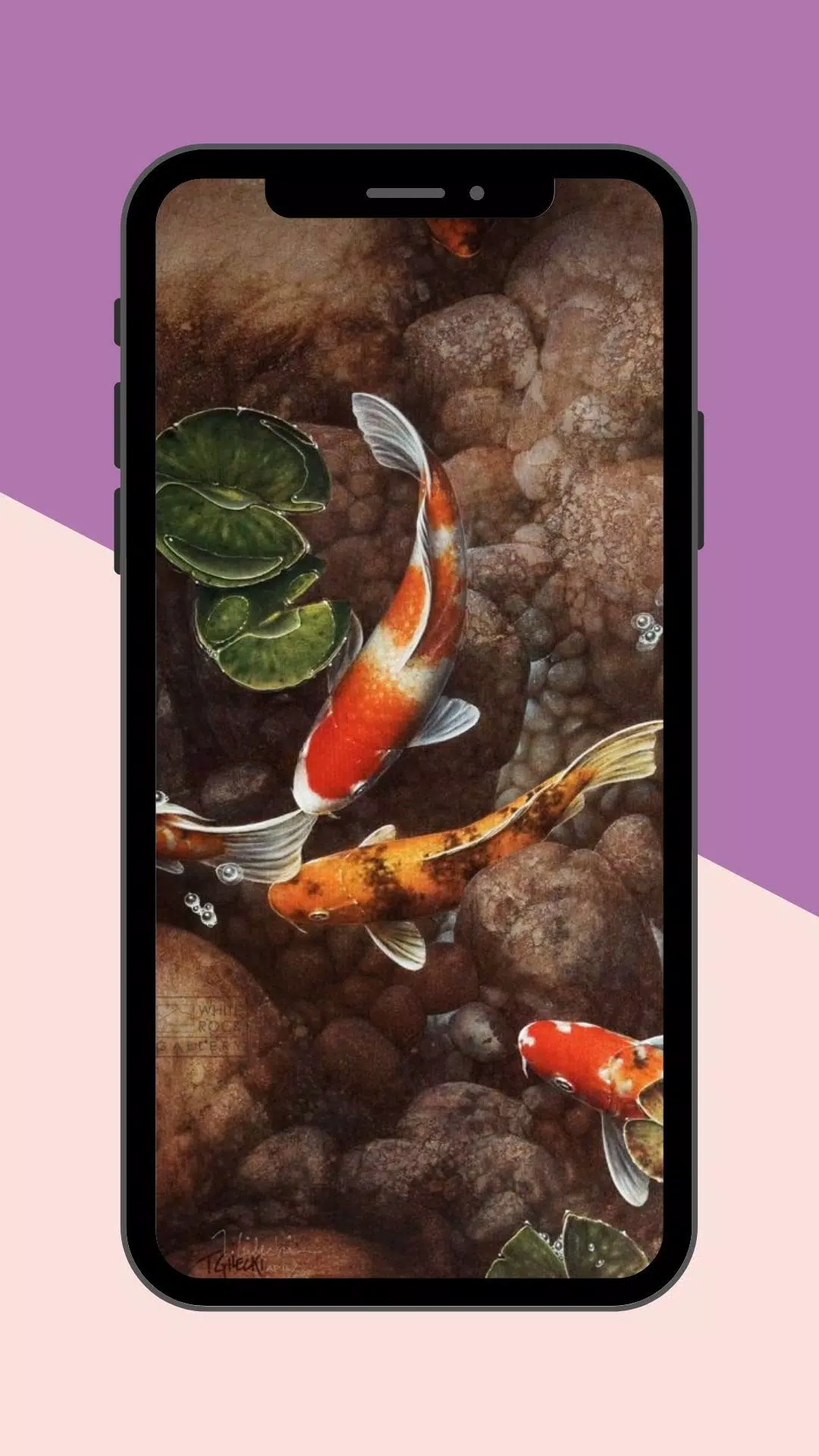 Moving Fish Wallpaper For Phones