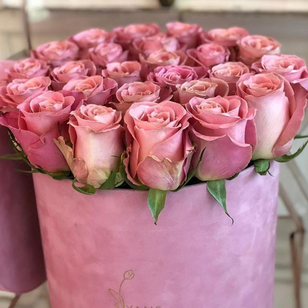 بطاقات ورود للتصميم