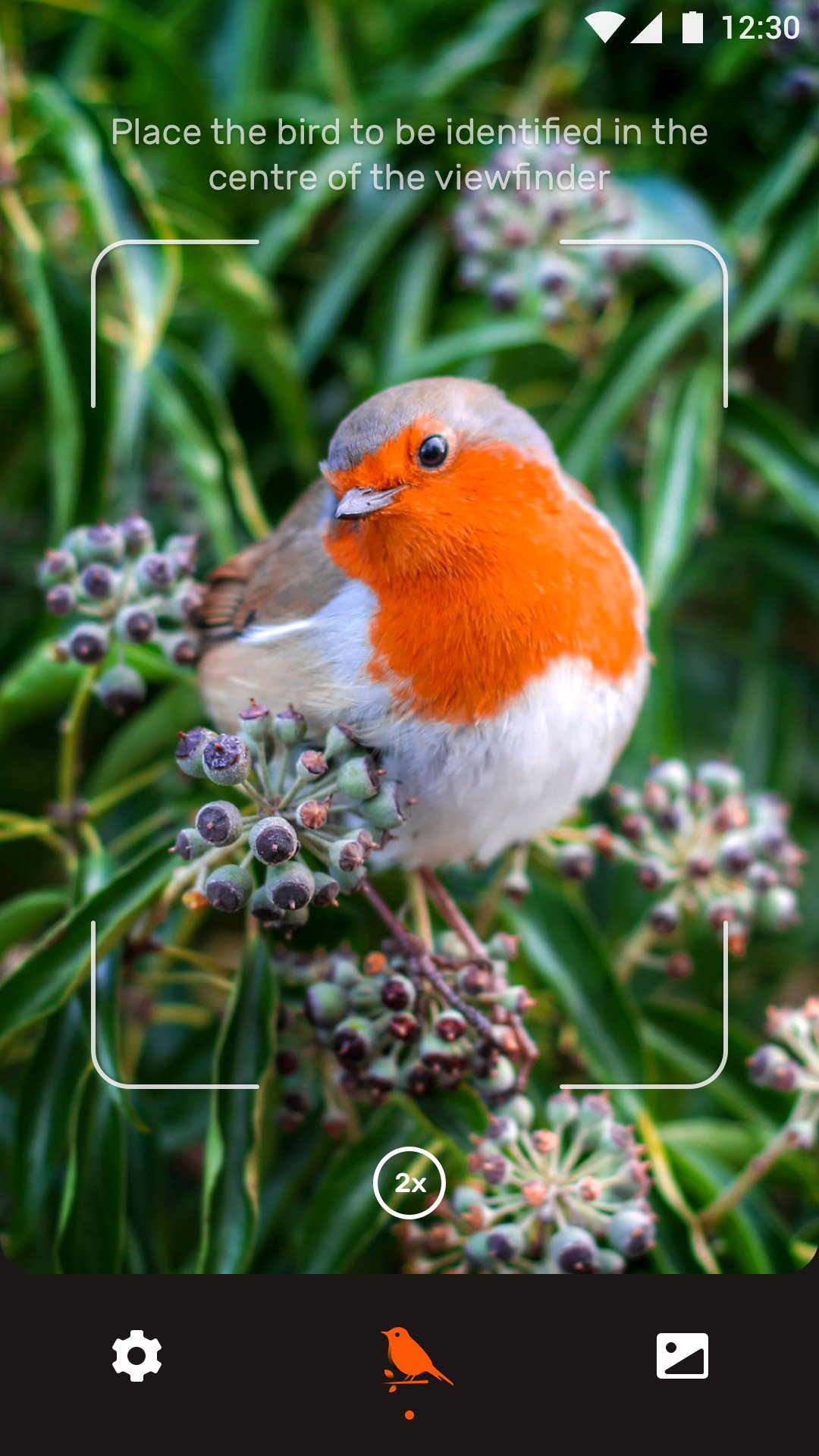 Bird Detective APK for Android Download