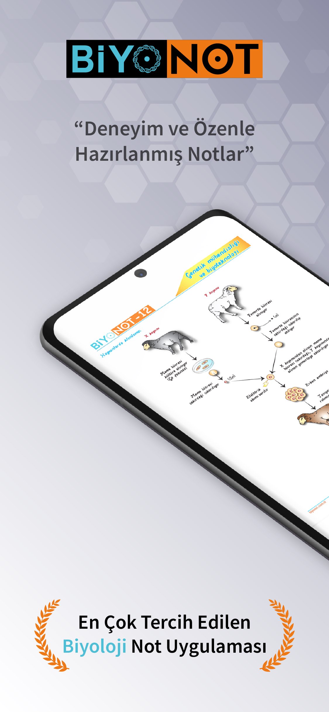 Download Biyonot – Biyoloji Notları PDF Latest Version 2.3 Android APK File