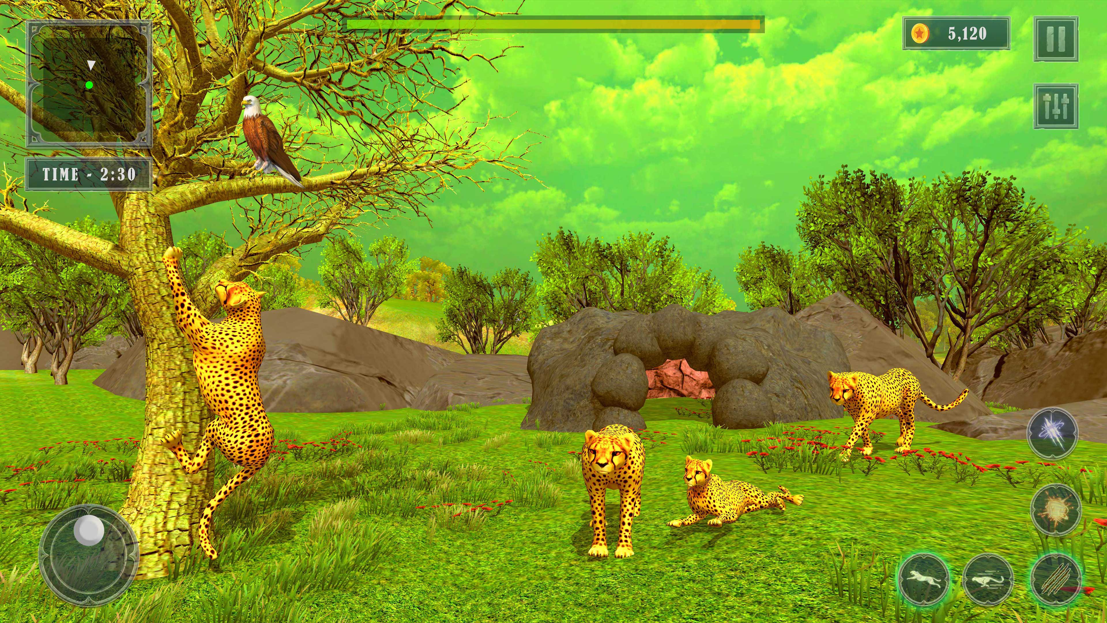 Cheetah Sim Wild Animal Games APK for Android Download